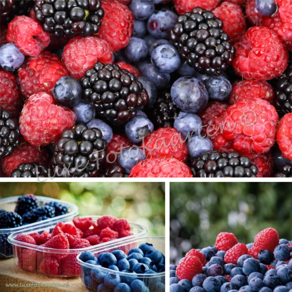 Blanco Algemeen - Rood fruit